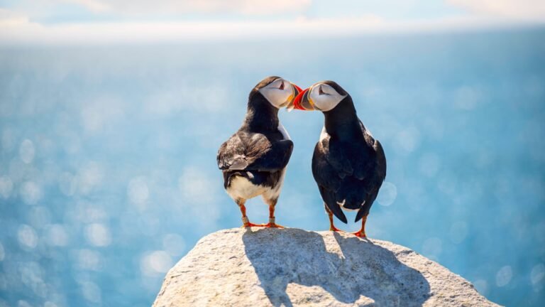 25 Wild Animals Known For Their Friendly Nature