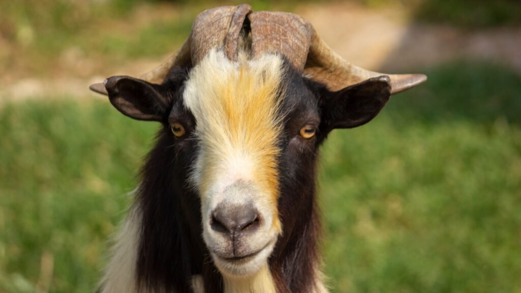 23 Lesser-Known Greek Gods With Unusual Mythological Backstories